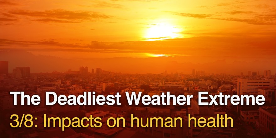 Weather Oradea - meteoblue